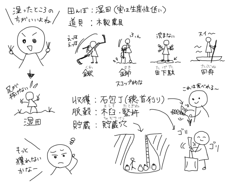 弥生時代へ！稲作から戦争発展!? | れきしそうし